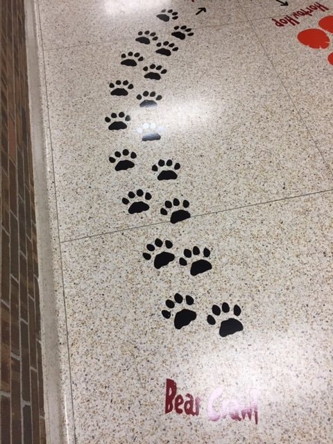 Bear Crawl Vinyl Sensory Path for School Floors | Etsy