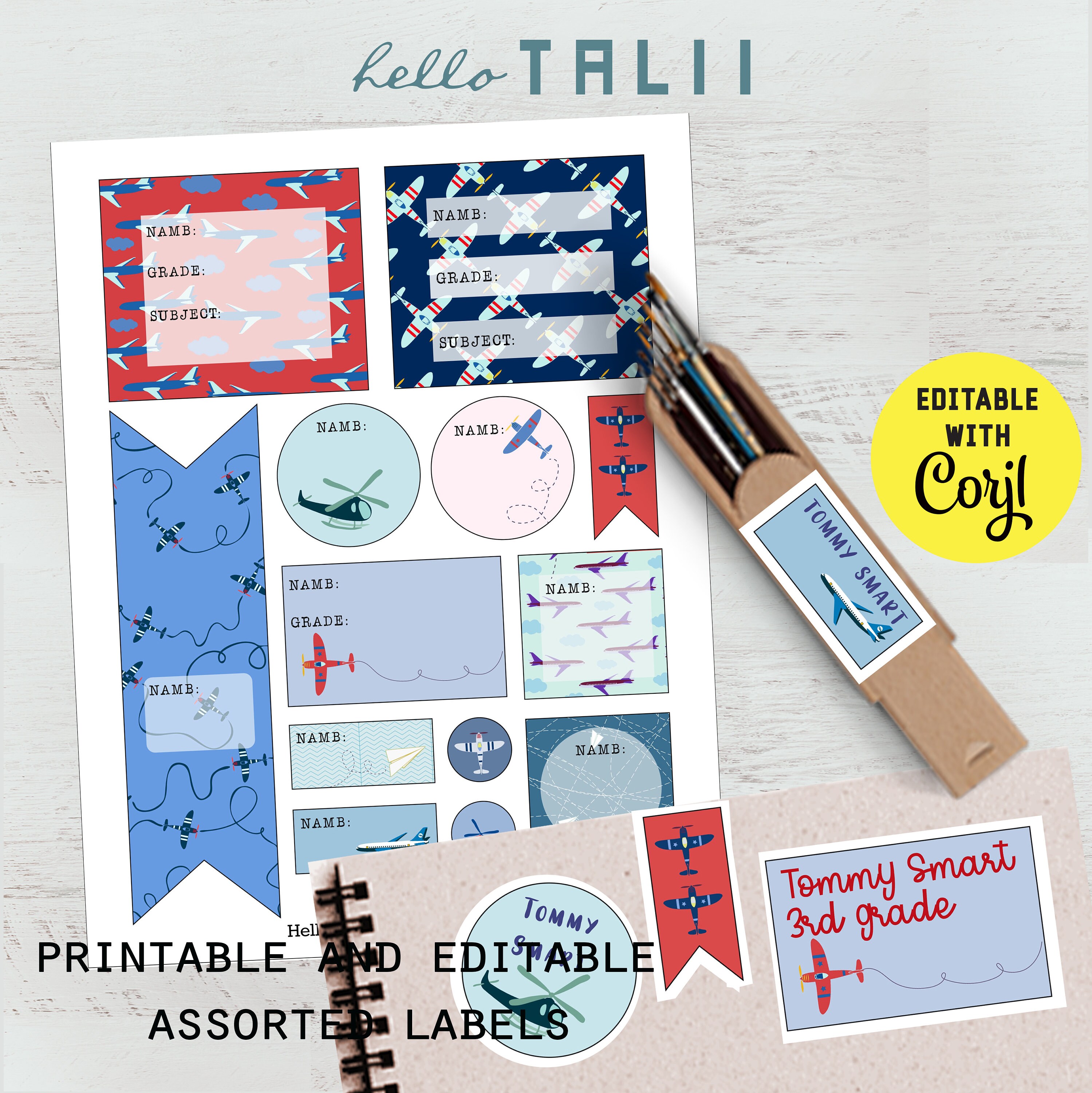 AIRPLANES ASSORTED LABELS Printable Editable Airplane Stickers Airmail ...