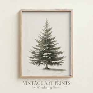 Vintage Art Print, Fir Tree, Pine Tree, Christmas Wall Art - Etsy