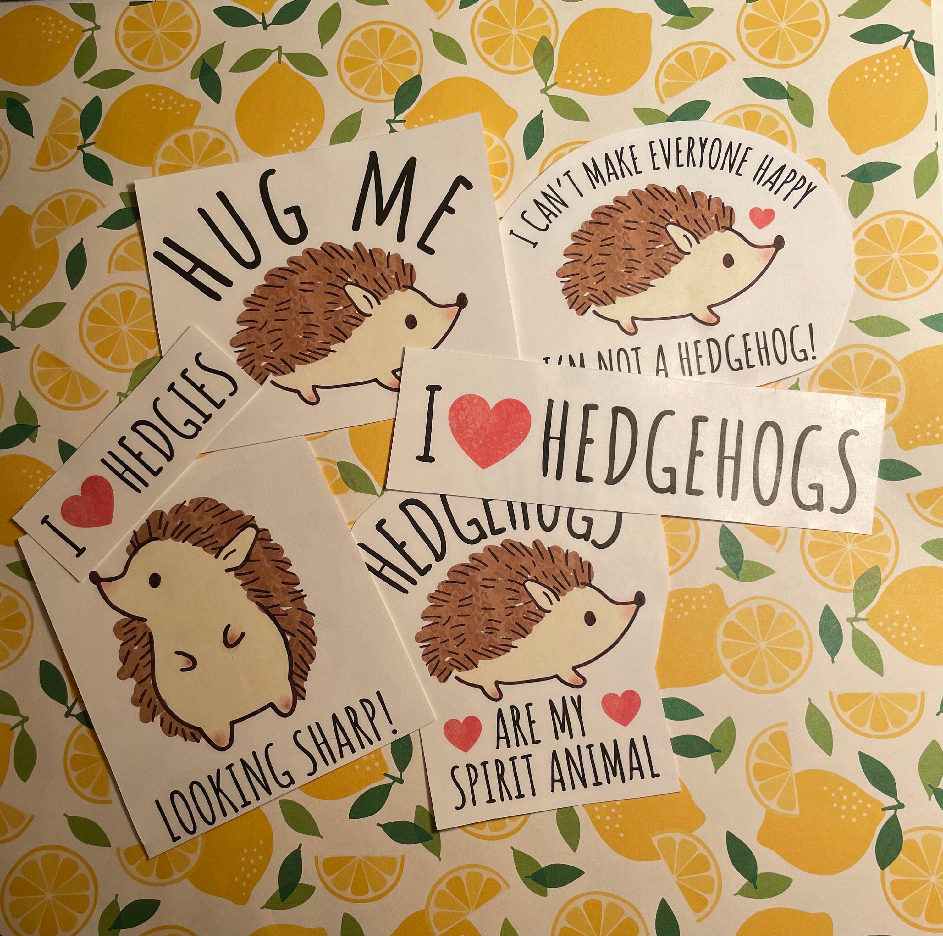 Hedgehog Stickers Hedgie Stickers I Love Hedgehogs I Love | Etsy