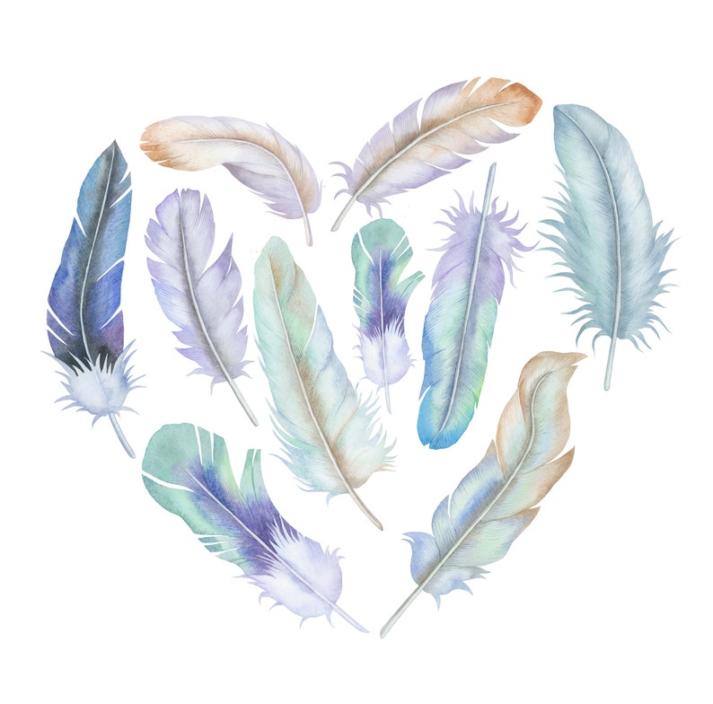 Watercolor Clipart Feathers Hand Painted Feathers Feather | Etsy