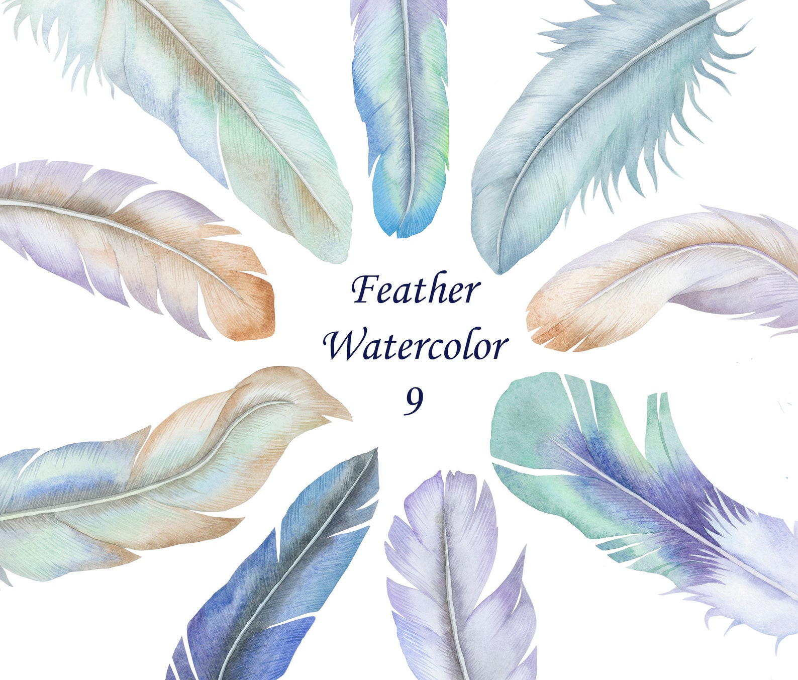 Watercolor Clipart Feathers Hand Painted Feathers Feather | Etsy