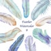 Watercolor Clipart Feathers, Hand Painted Feathers, Feather Graphics ...
