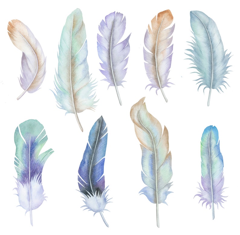 Watercolor Clipart Feathers Hand Painted Feathers Feather | Etsy