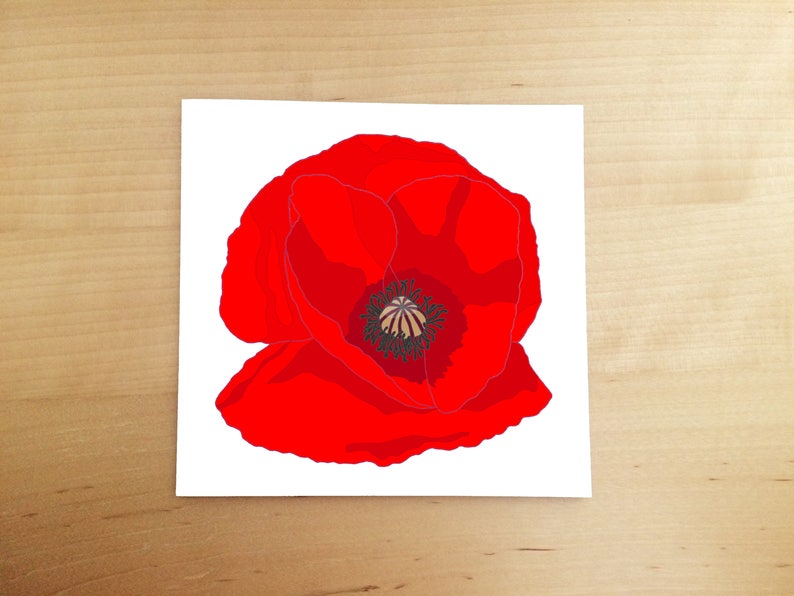 Illustrated Cards - Hand Drawn Cards - Greeting Cards - Poppy - Flower ...