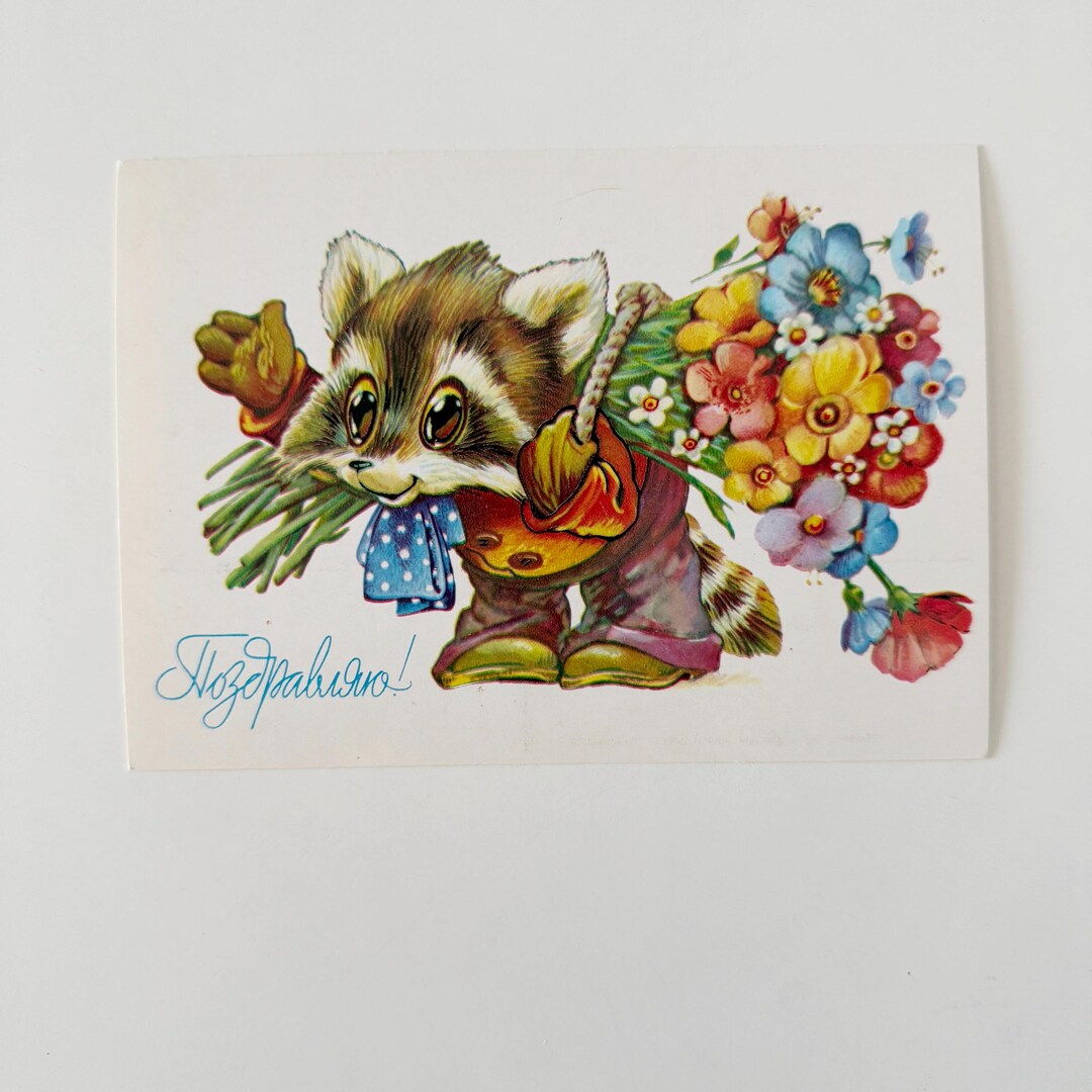 Soviet Greeting Card Raccoon With a Bouquet, Artist Chetverikov, USSR ...