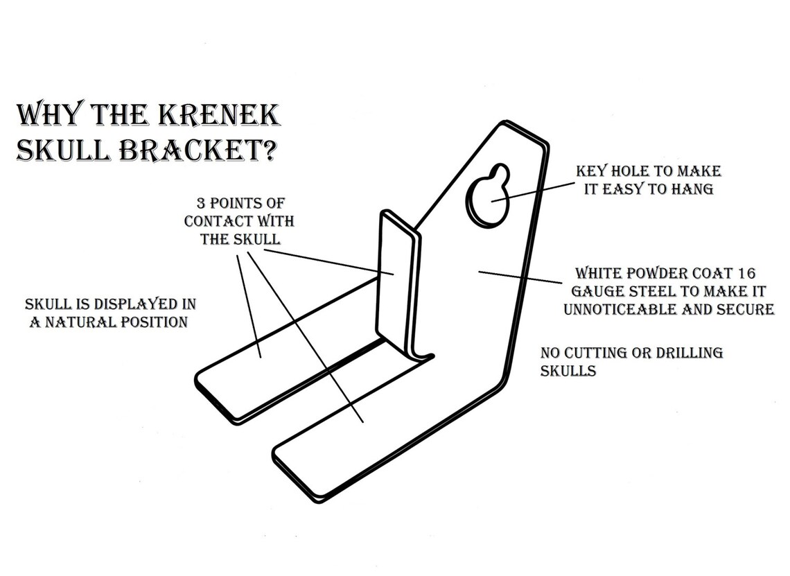2 European Skull Mount Hanger Brackets KRENEK SKULL BRACKET Deer, Hogs ...
