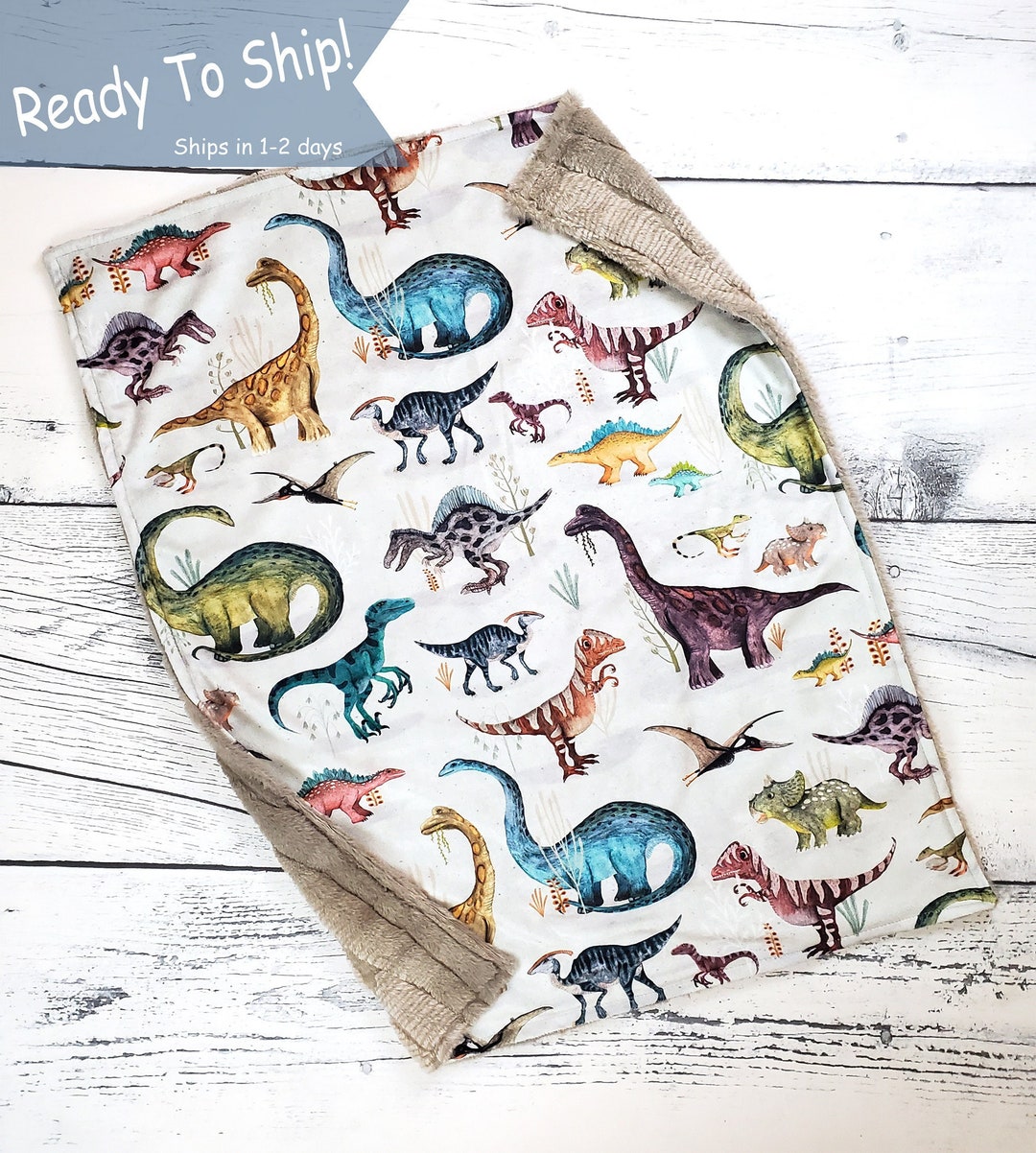 Dinosaur Baby Blanket - Dinosaur Nursery - Ready to Ship Baby Blanket ...