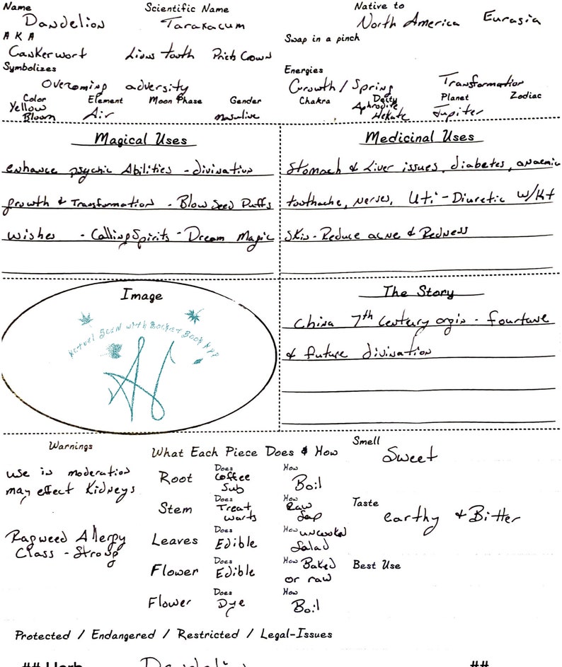 Herb Log Sheet - Etsy