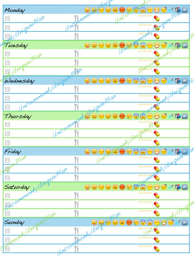 Unique Weekly Planner With Emoji Medication and Emoji Meal - Etsy