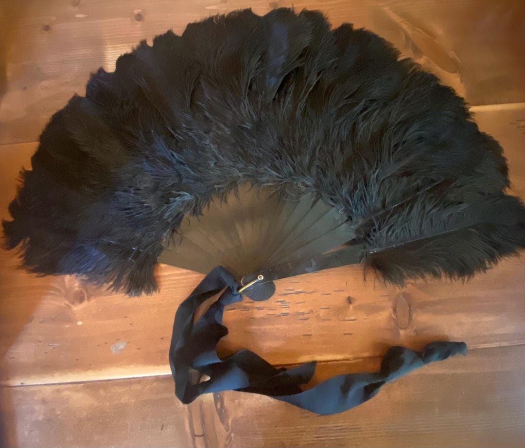 Antique Ostrich Feather Hand Fan: Black Celluloid Staves, Vintage ...