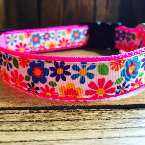 Colorful Collar - Etsy