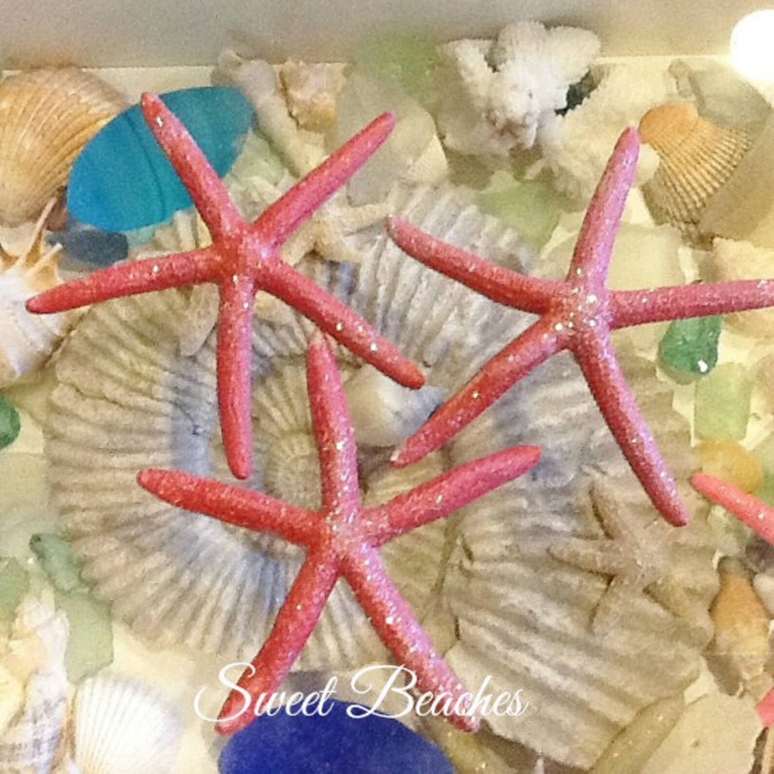 Set of 3 Sparkling Starfish Sea Star Sea Shell Beach Nautical - Etsy