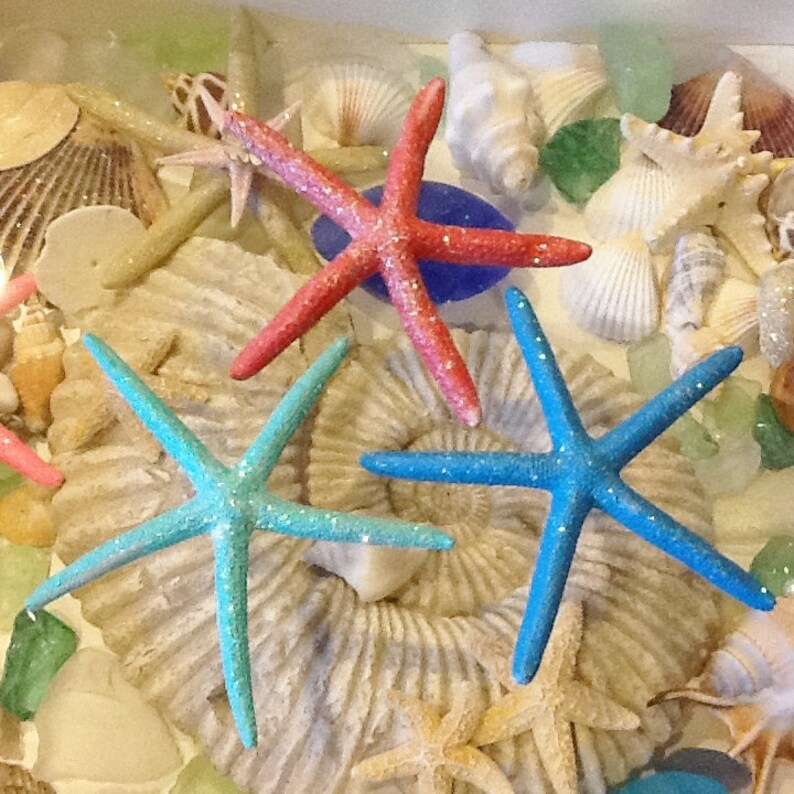 Set of 3 Sparkling Starfish Sea Star Sea Shell Beach Nautical Decor - Etsy
