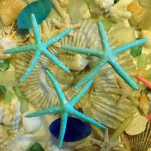 Set of 3 Sparkling Starfish Sea Star Sea Shell Beach Nautical Decor - Etsy