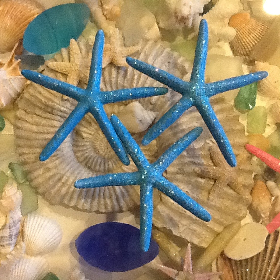 Set of 3 Sparkling Starfish Sea Star Sea Shell Beach Nautical - Etsy