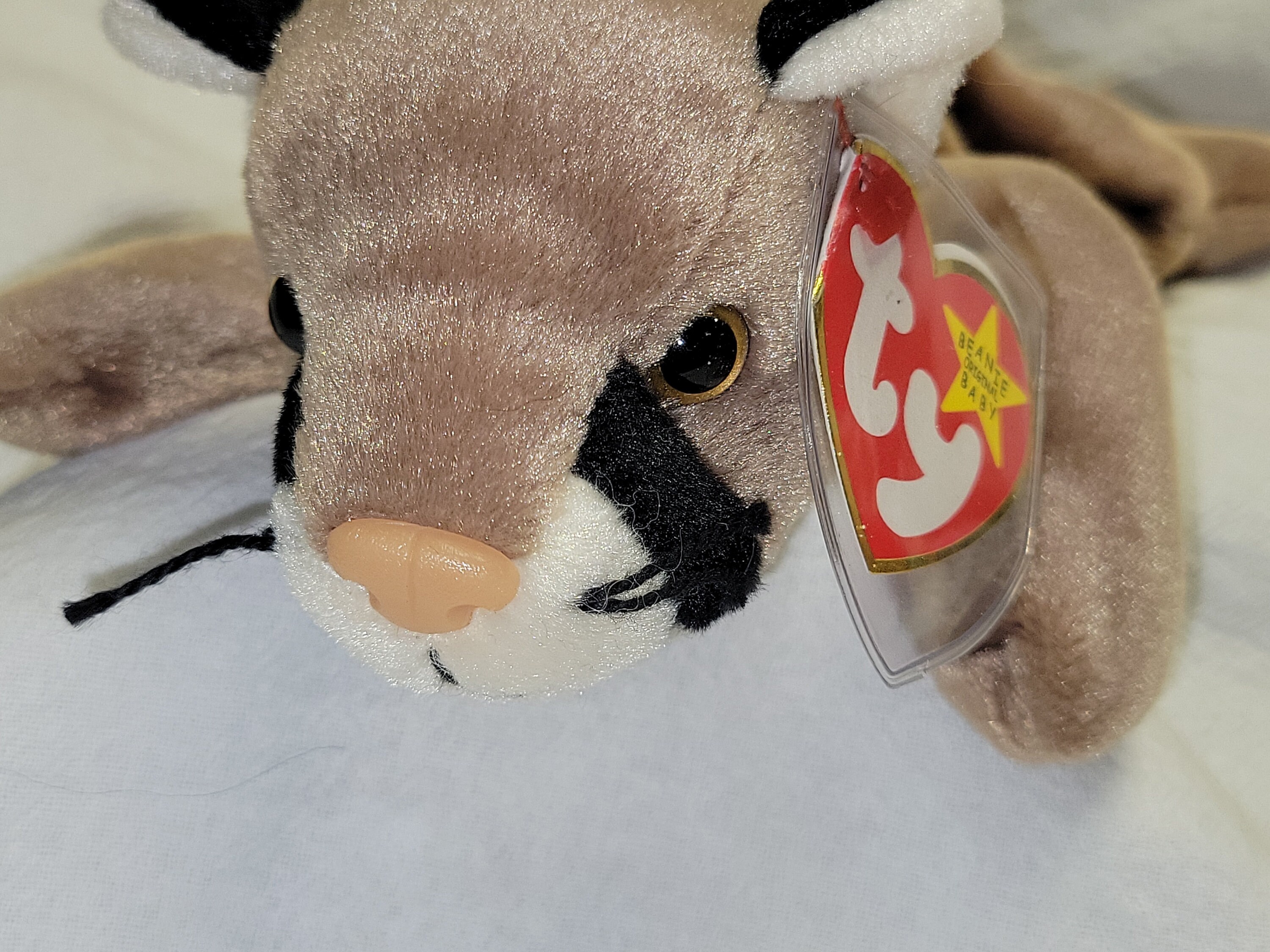 Ty Beanie Baby CANYON THE COUGAR Rare/retired Vintage Birthday - Etsy