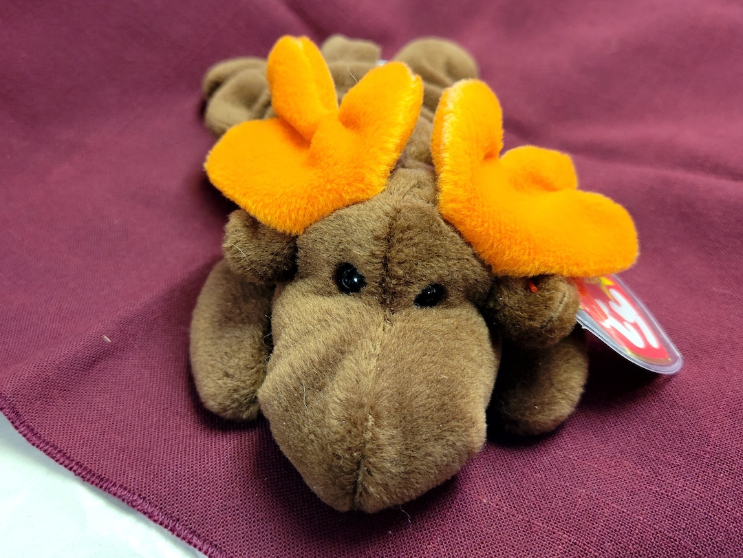 Rare Ty Toy "chocolate Moose" Beanie Baby Collectible, Retired 1993 - Etsy