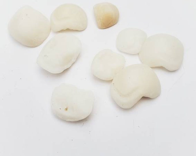 Lake Erie Lucky Stone Freshwater Drum Otoliths - Etsy