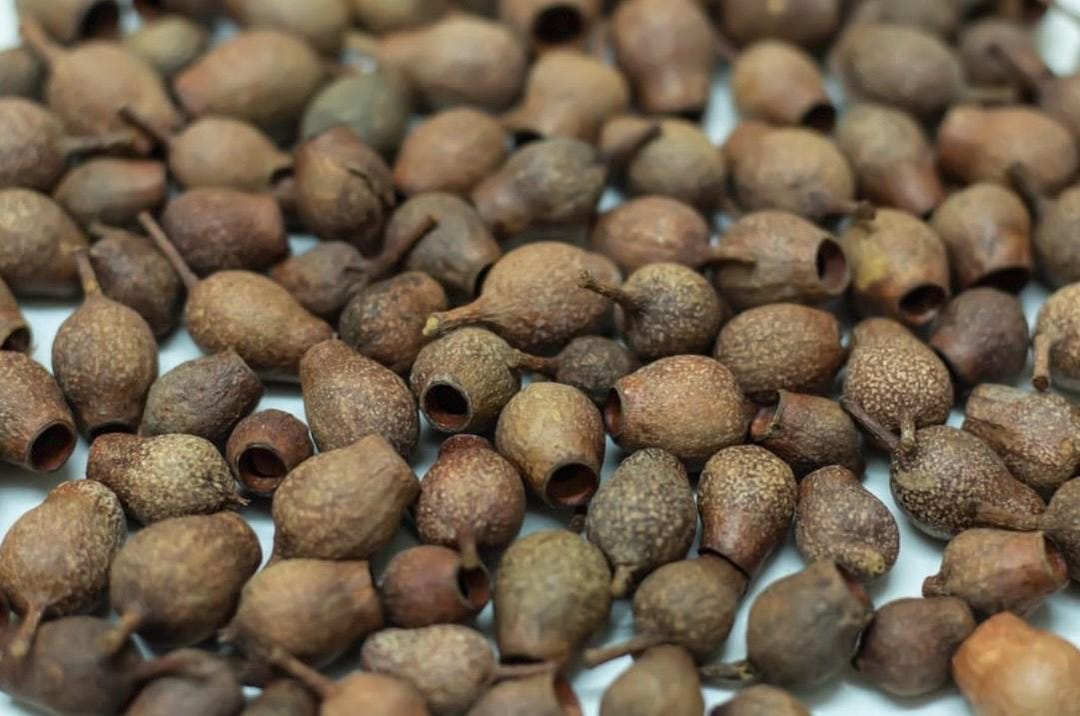 Gumnuts 120 Australian Gum Nuts Craft Supplies Resin Gumnut Dried Nuts ...