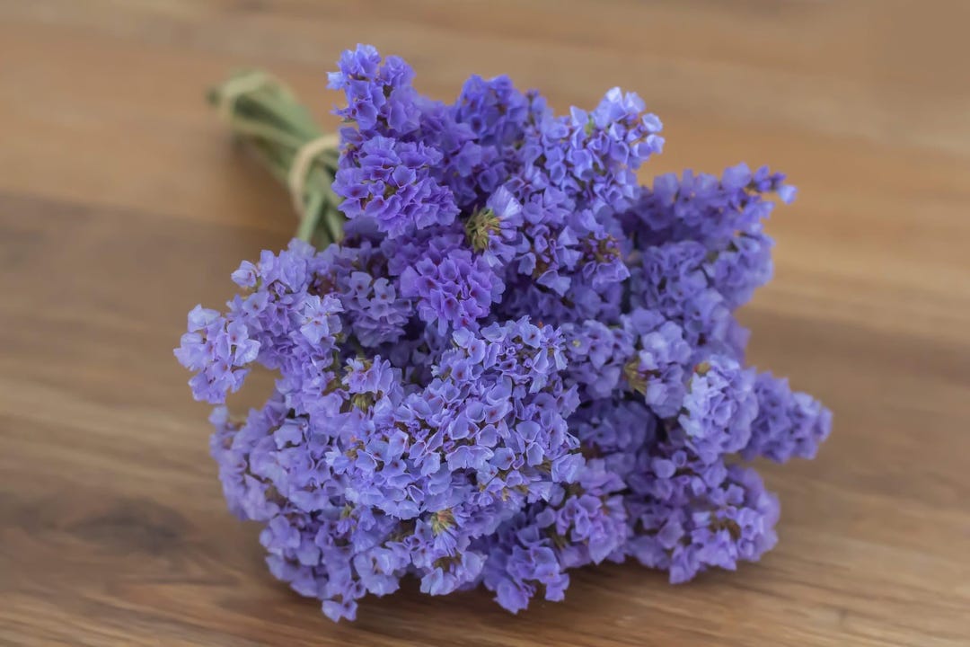 Dried Statice Bunch. Dried Flowers for Resin Craft Projects Home Decor ...