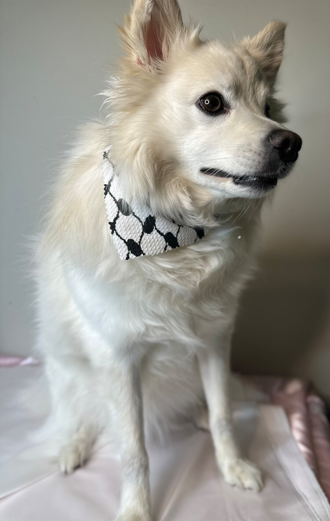 PET Keffiyeh Bandana Hatta Print Cats Dogs Puppies Gifts Handmade ...