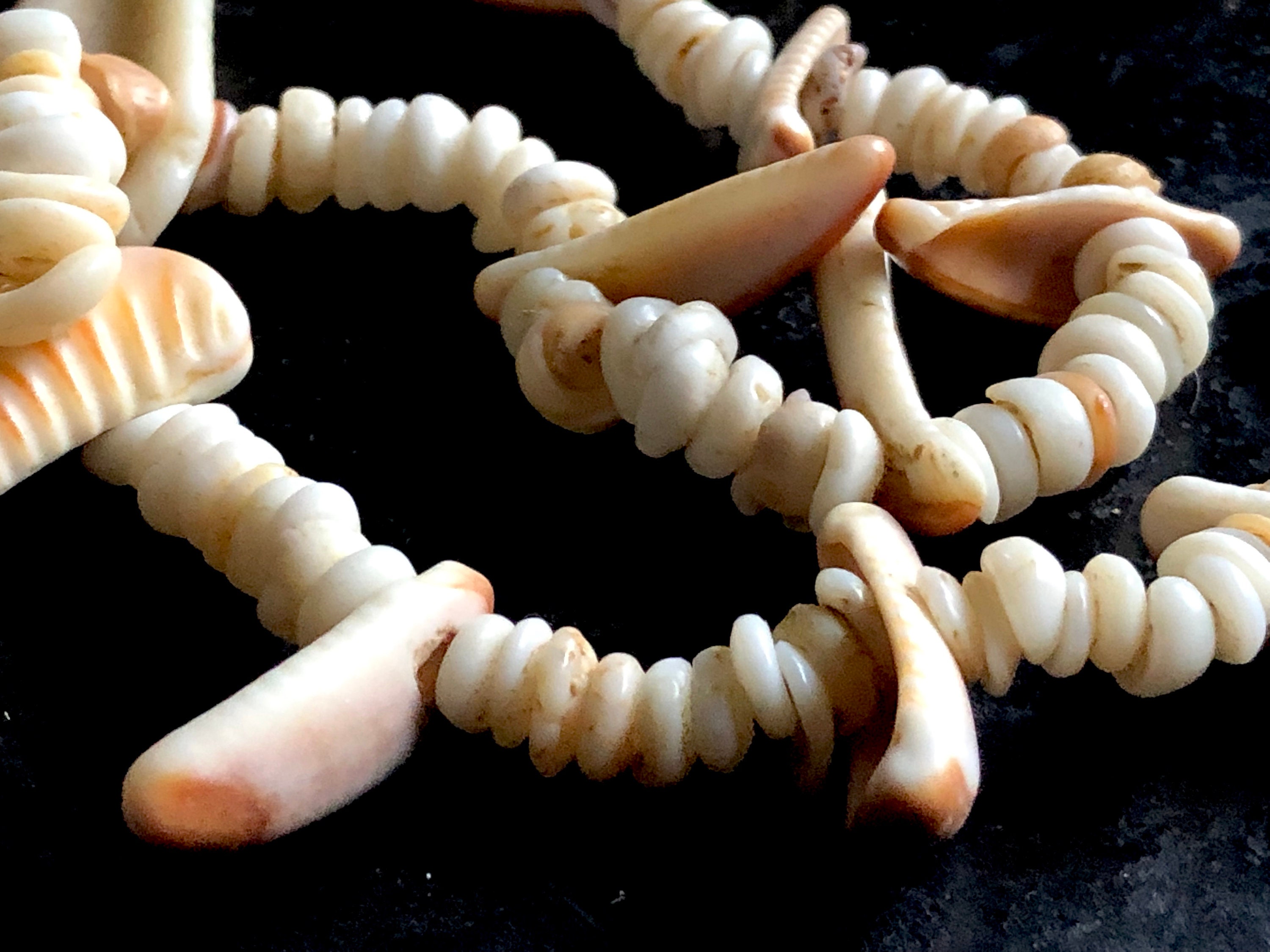 Vintage Puka Shell Necklace With Cowrie Pendants - Etsy