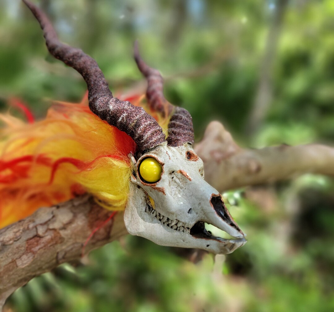 Black Buck Antelope Skull Necropetz Woodbaby Wrap Our Handmade - Etsy