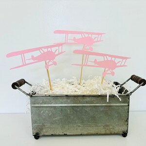 Pink Time Flies First Birthday, Biplane Decorations, Airplane ...
