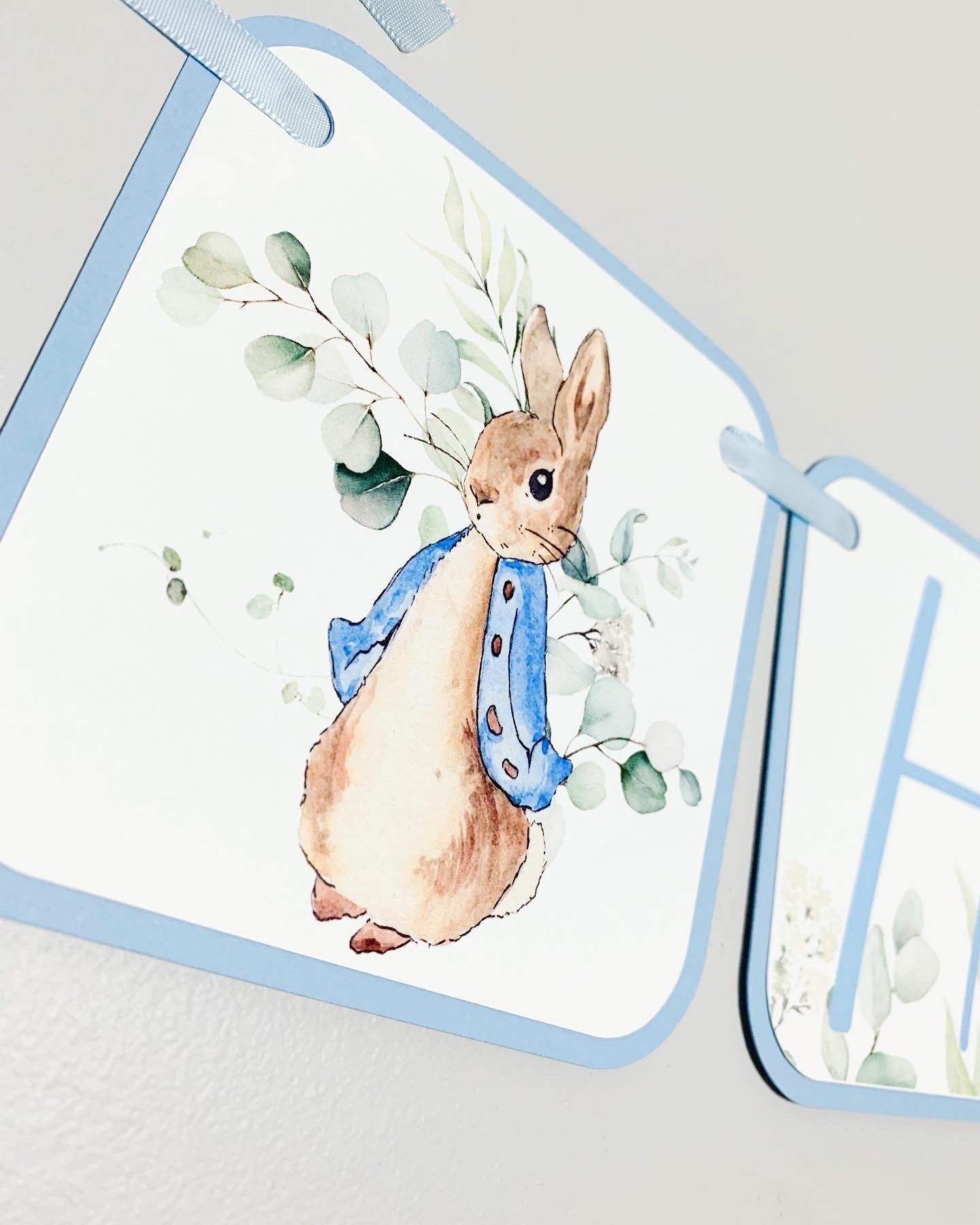 Peter Rabbit Birthday Decorations Peter Rabbit Baby Shower | Etsy