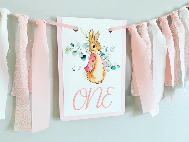 Pink Peter Rabbit Birthday Girl Peter Rabbit Baby Shower - Etsy
