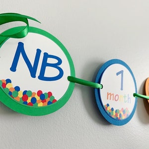 Let's Have a Ball First Birthday Milestones Photo Banner, Its a Ball to ...