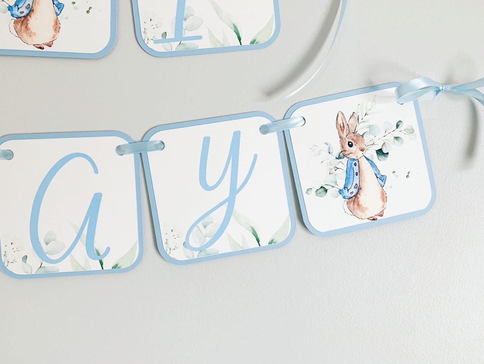 Peter Rabbit Birthday Decorations Peter Rabbit Baby Shower - Etsy