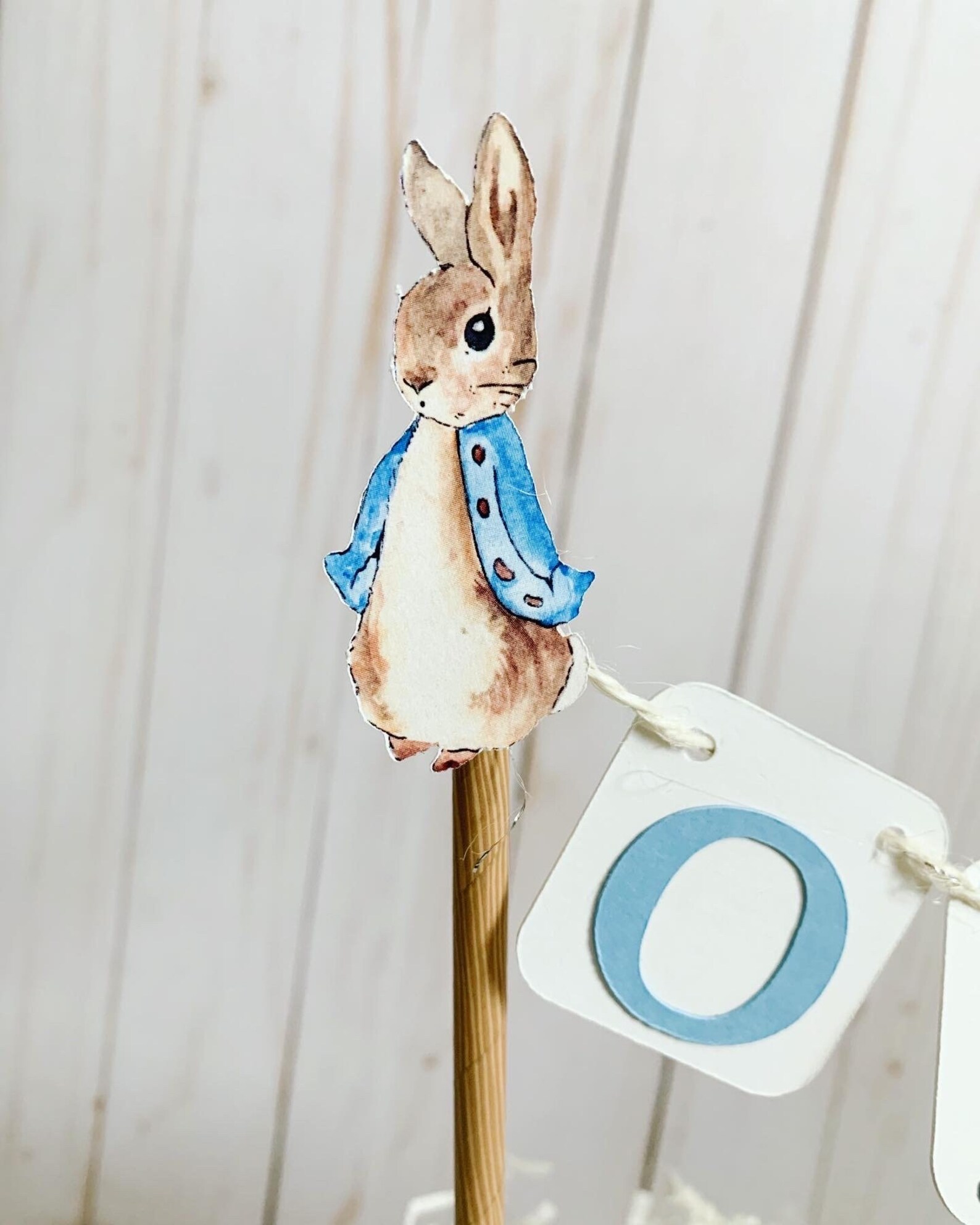 Peter Rabbit Cake Topper Peter Rabbit Birthday Decorations - Etsy