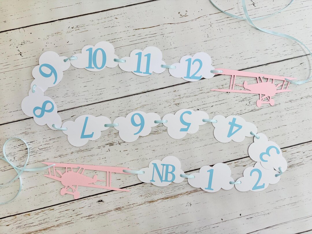 Pink Airplane Time Flies First Birthday, Pink Biplane Decor, Vintage ...