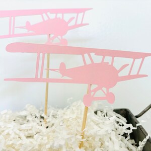 Pink Time Flies First Birthday, Biplane Decorations, Airplane ...