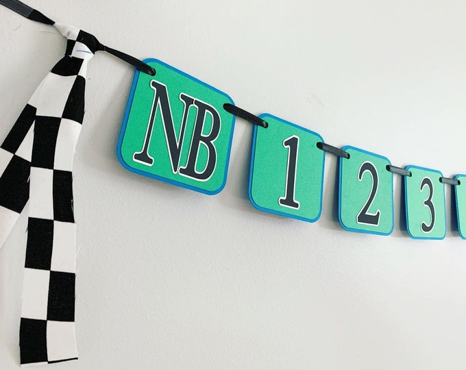 Racing Party Chequered Hand Flag, Race Car Birthday Party Supplies ...