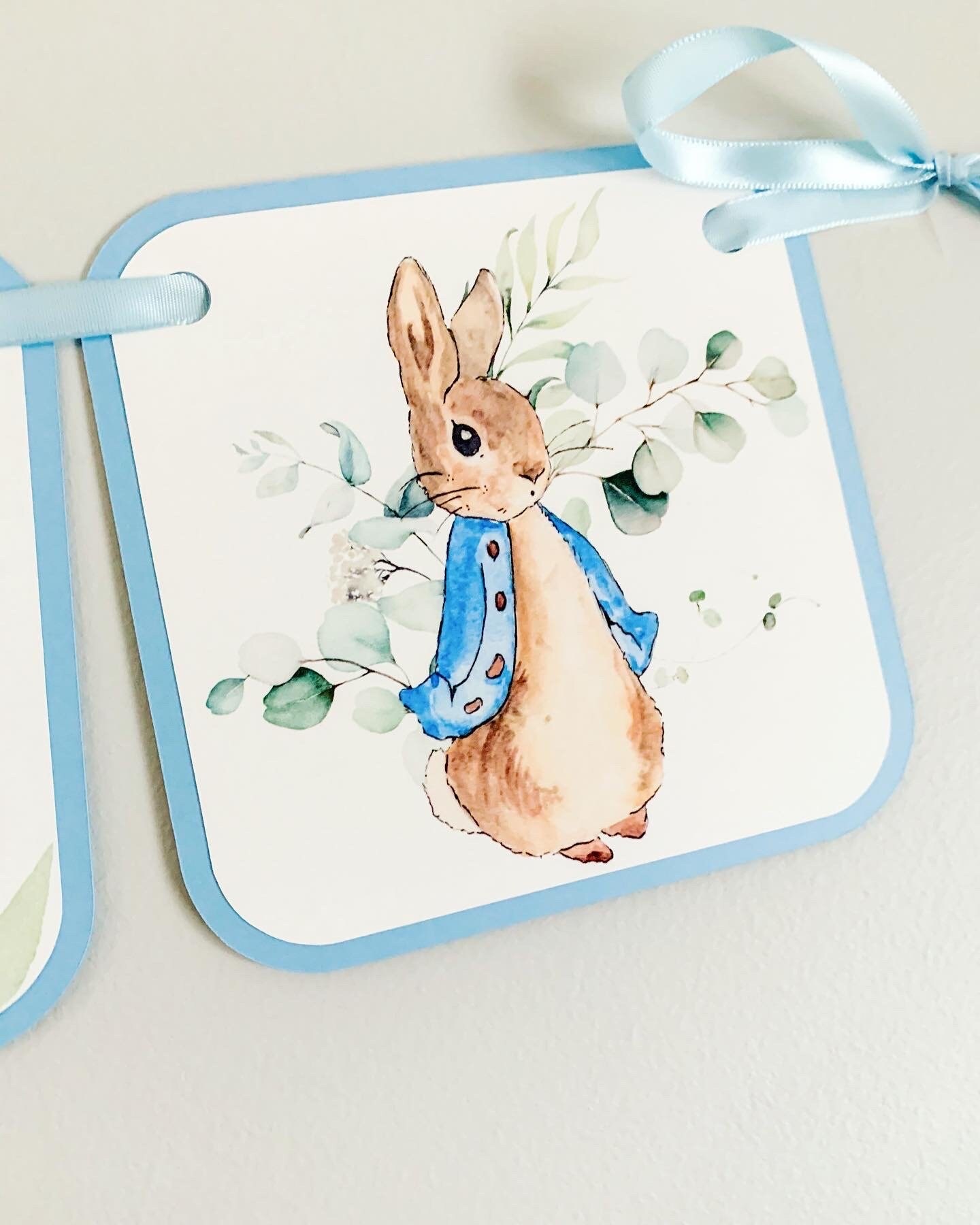 Peter Rabbit Birthday Decorations Peter Rabbit Baby Shower | Etsy