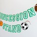 Sports Birthday Decorations, All Star Sports, Multi Sport Birthday ...