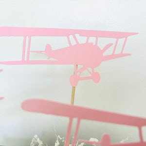 Pink Time Flies First Birthday, Biplane Decorations, Airplane ...