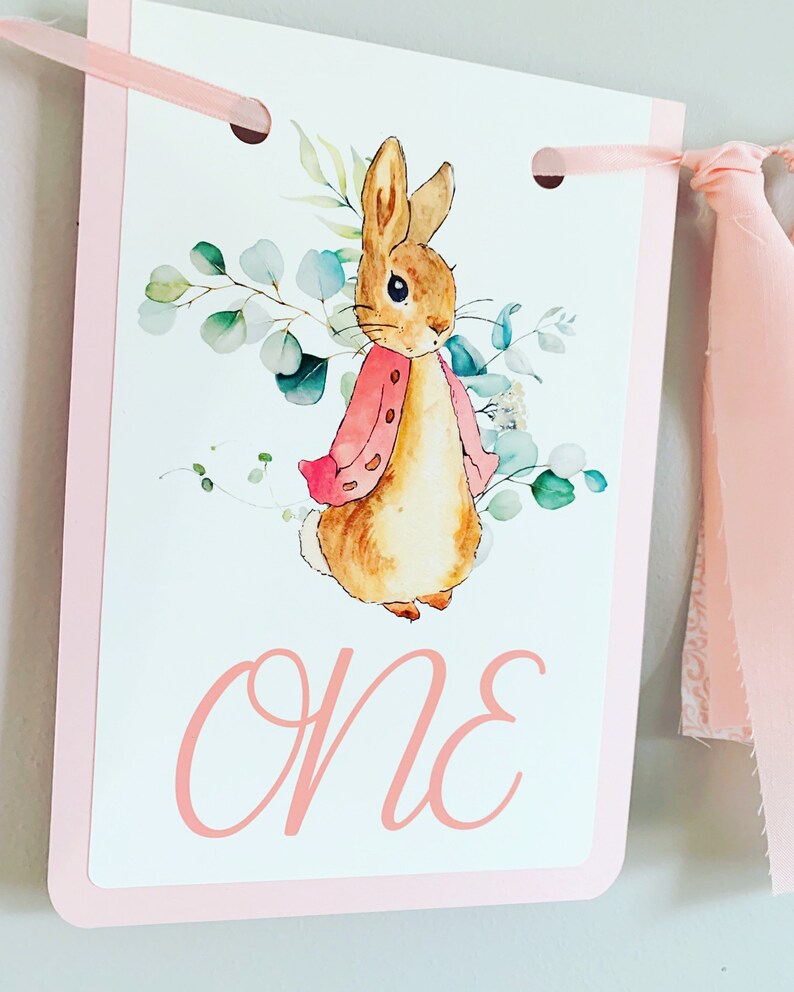 Pink Peter Rabbit Birthday Girl Peter Rabbit Baby Shower - Etsy