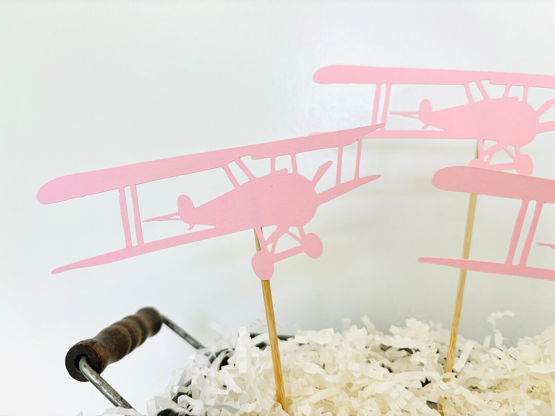 Pink Time Flies First Birthday, Biplane Decorations, Airplane ...