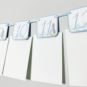 Peter Rabbit Birthday Decorations, Peter Rabbit Photo Banner, Peter ...