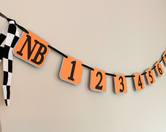 Racing Party Chequered Hand Flag, Race Car Birthday Party Supplies ...