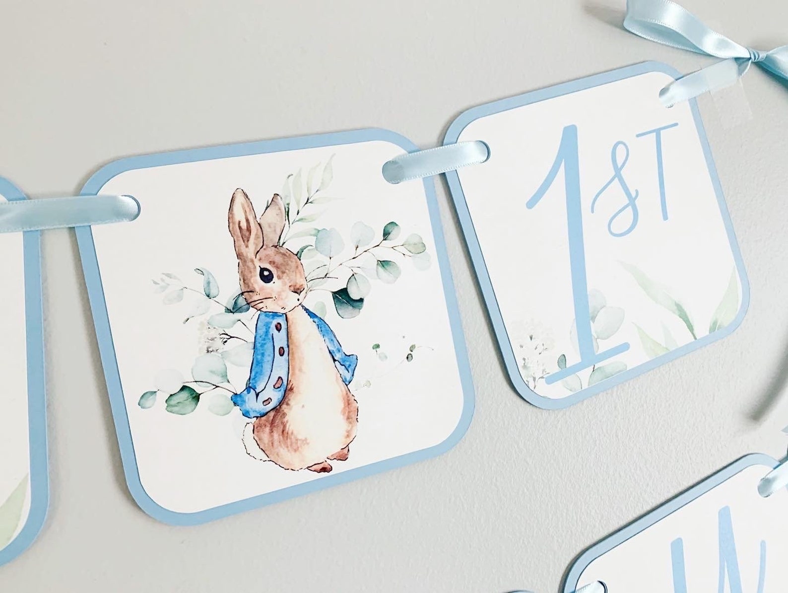 Peter Rabbit Birthday Decorations Peter Rabbit Baby Shower - Etsy