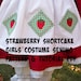 Strawberry Shortcake Dress Sewing Pattern - PDF - Girls Dress Sewing ...