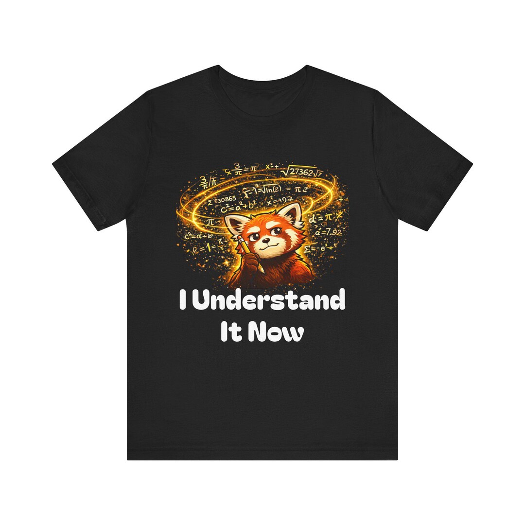Red Panda 'I Understand It Now' T-shirt | Cute Nerd Math Graphic Tee - Etsy