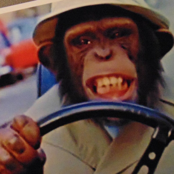 Chimp Chimpanzee - Etsy