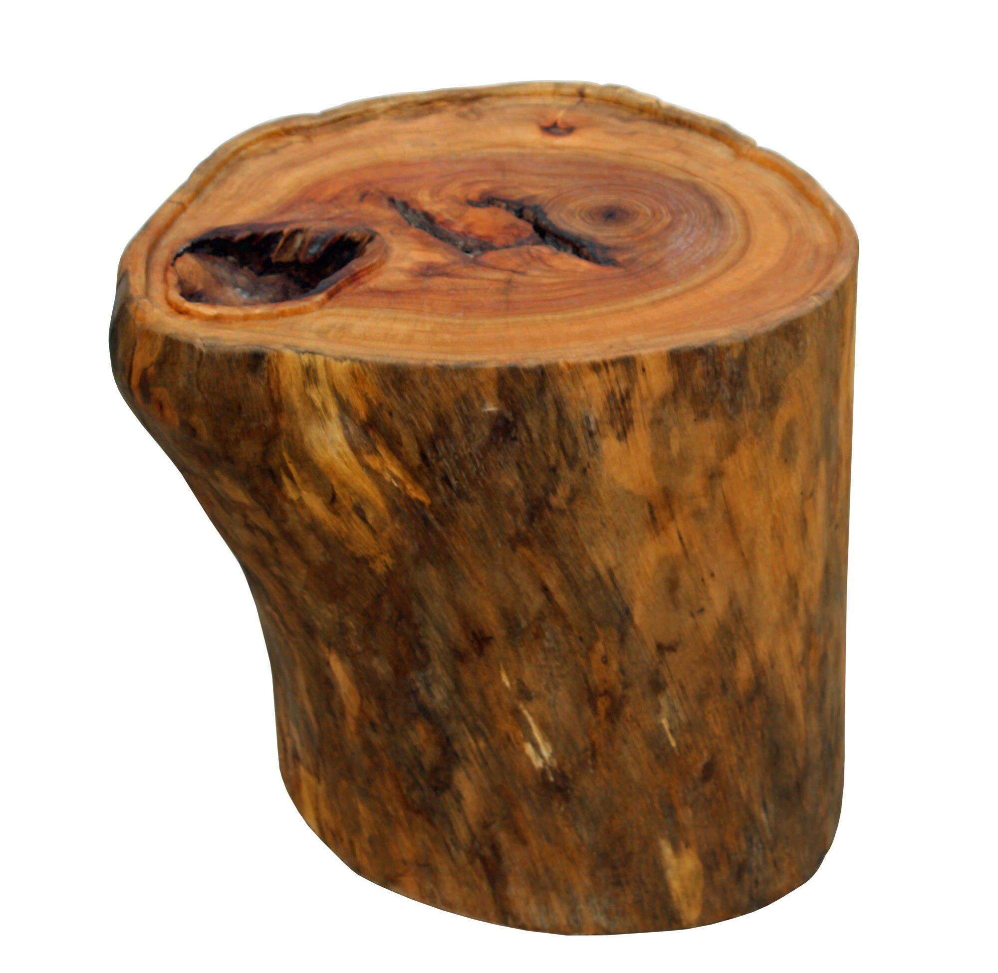 Chinese Natural Camphor Thick Wood Stem Rough Stool Table | Etsy