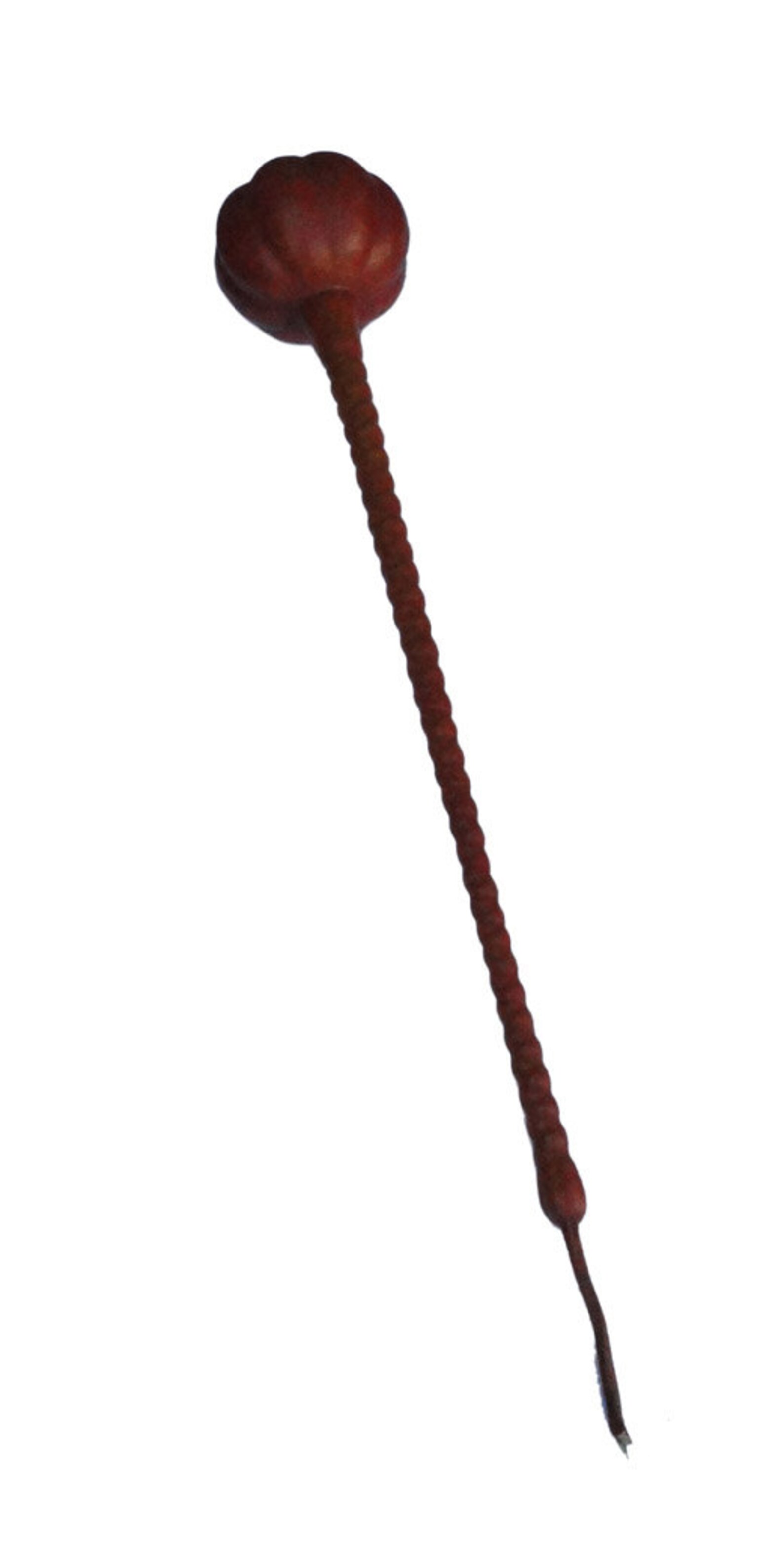 Chinese Natural Long Stick Gourd Fengshui Display Cs1115e - Etsy